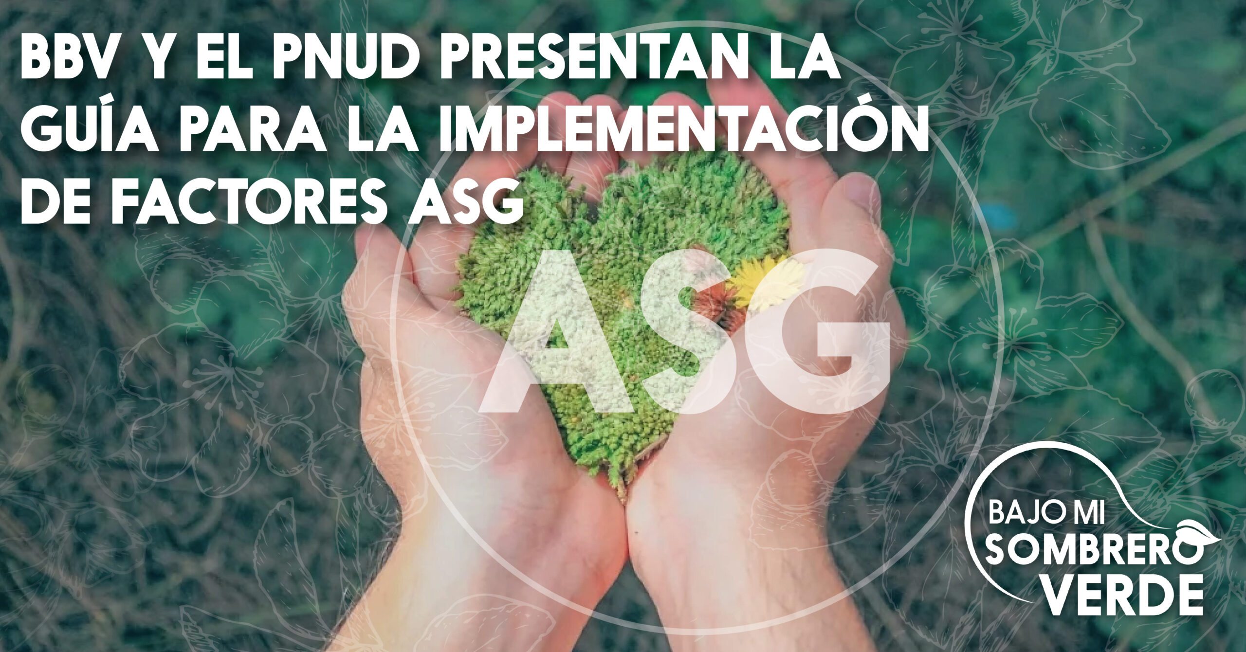 IMPULSANDO LA SOSTENIBILIDAD DESDE BBV: LA GUÍA PARA FACTORES ASG
